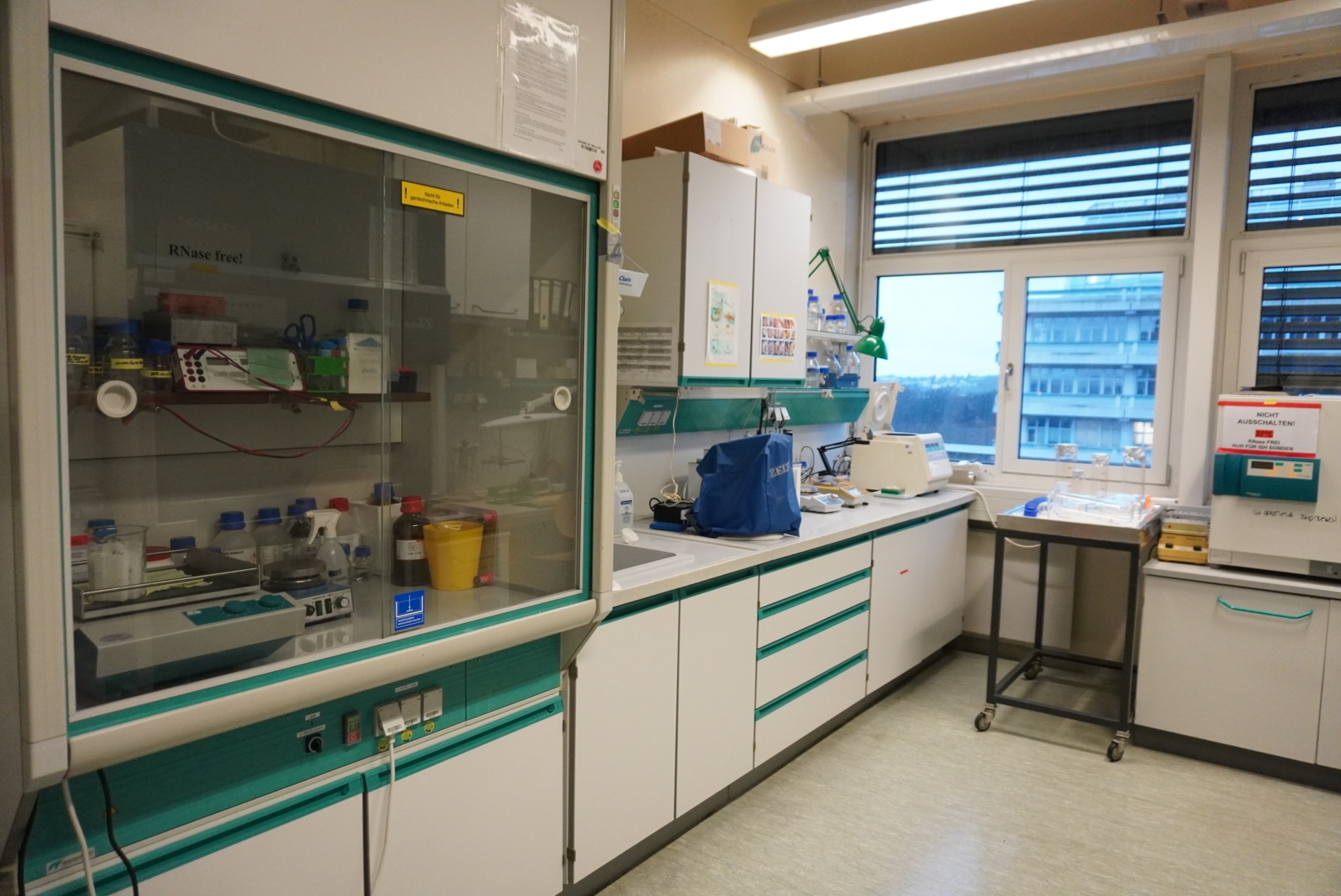 in situ – Stem Cell Medicine